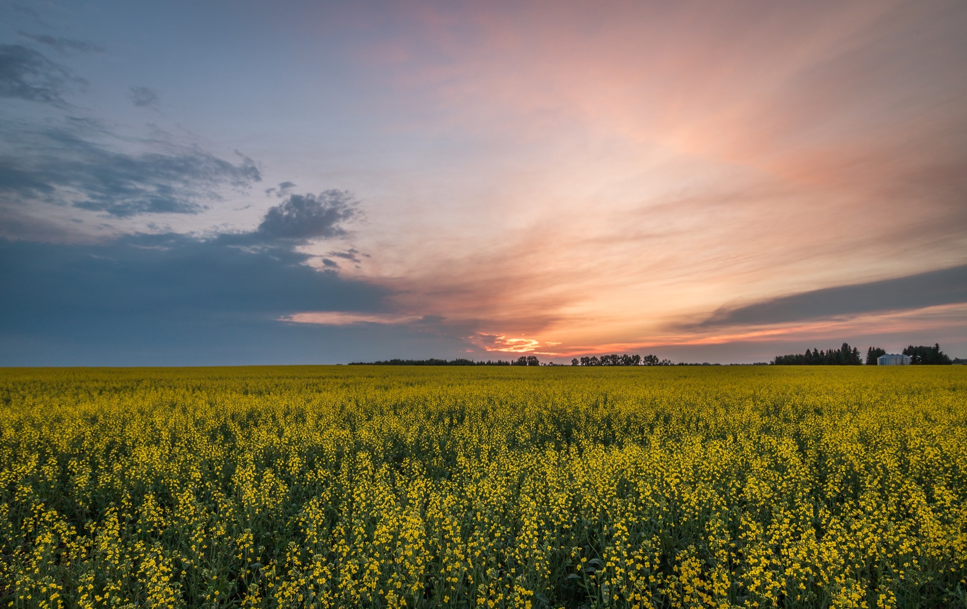 Invest Alberta Corporation